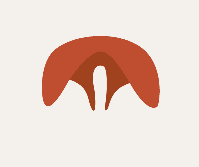 Het Middenrif, de spirituele betekenis - Healing Therapie